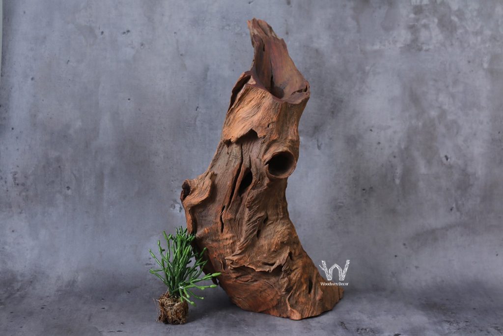 Lọ Hoa Lũa Mật WV0011 - GỖ LIVING HOUSE