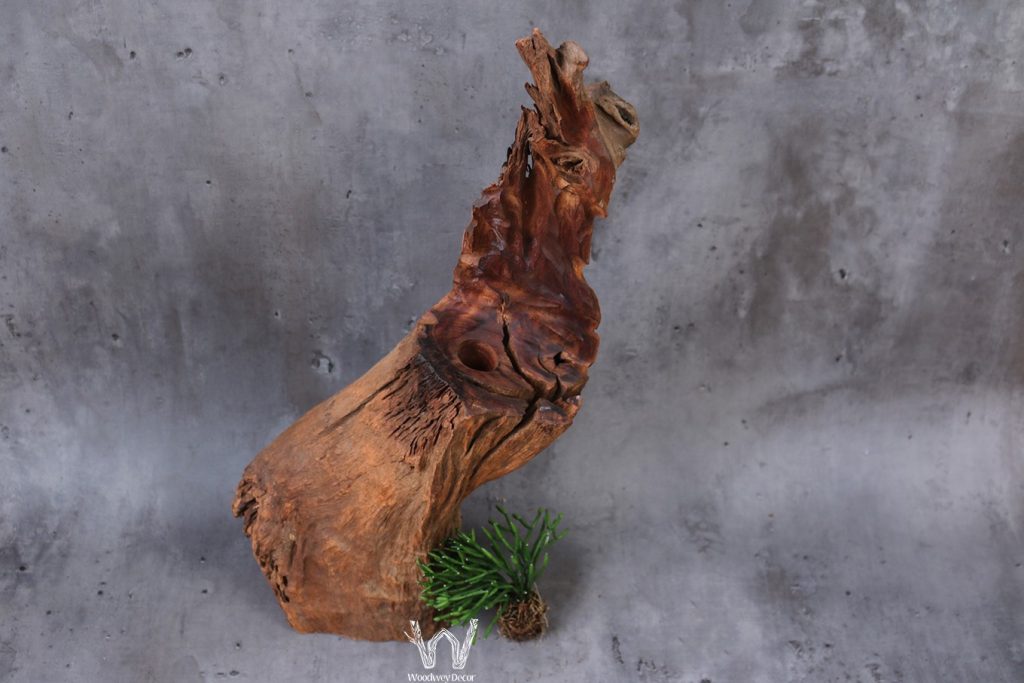 Lọ Hoa Lũa Mật WV0009 - GỖ LIVING HOUSE